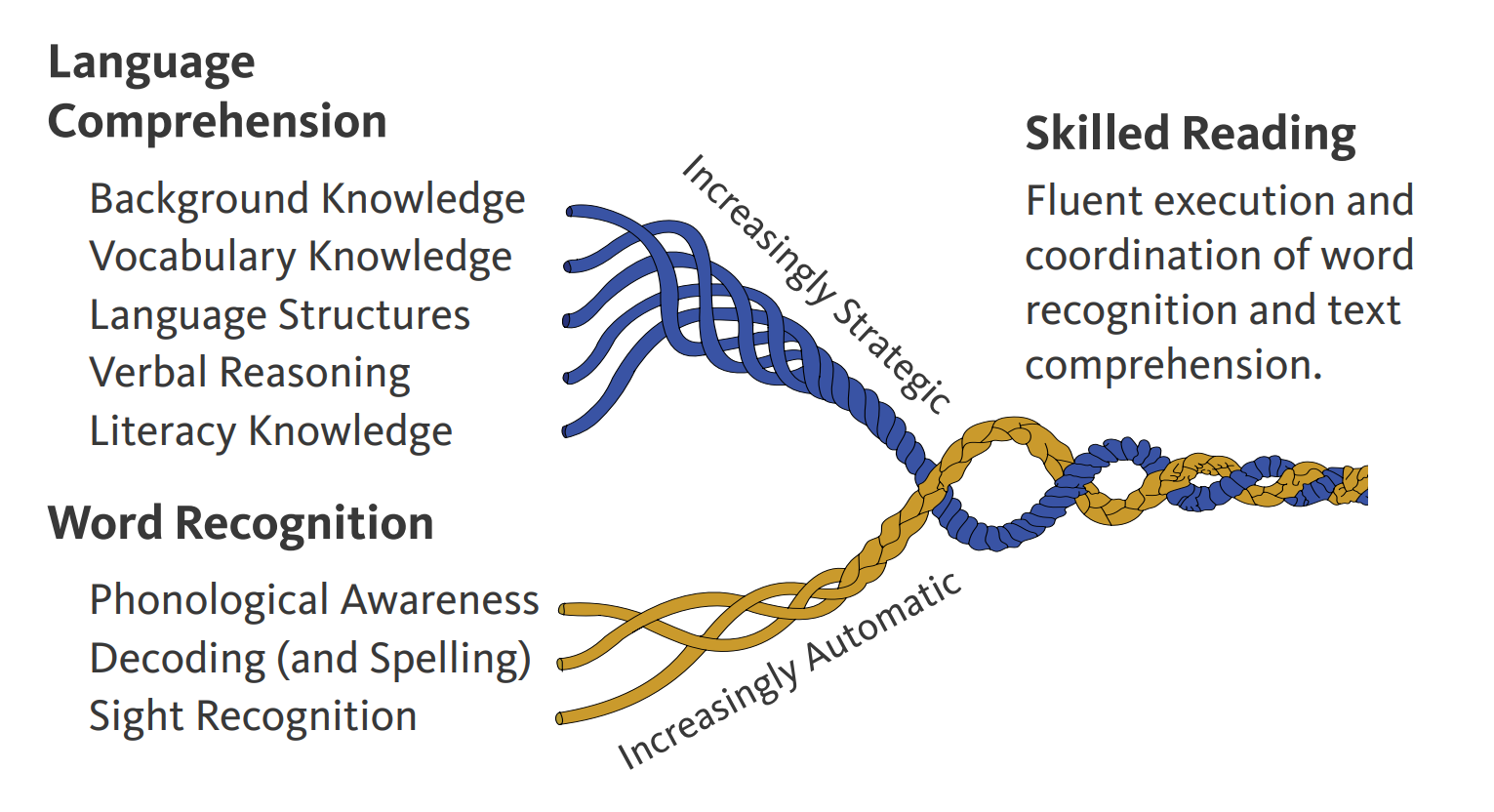 3 Things to Know About the Science of Reading